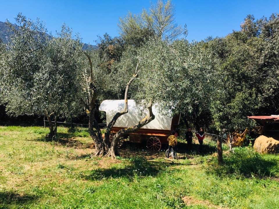 Le Camping de Cucugnan, Cucugnan, Occitanie, Aude, Pays cathare ...