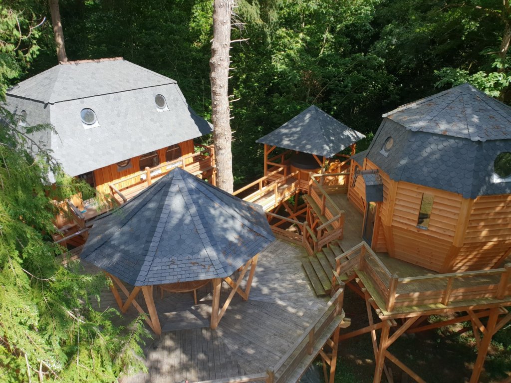 Luxueuse et très insolite cabane perchée ! - Cabane dans les arbres à ...