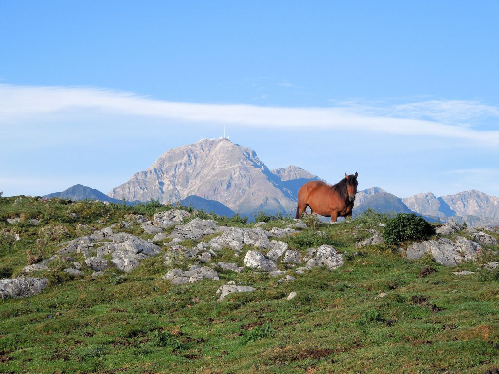 Gite Douly proche de Lourdes de 2 à 8 pers, gite Arrodets ez Angles ...