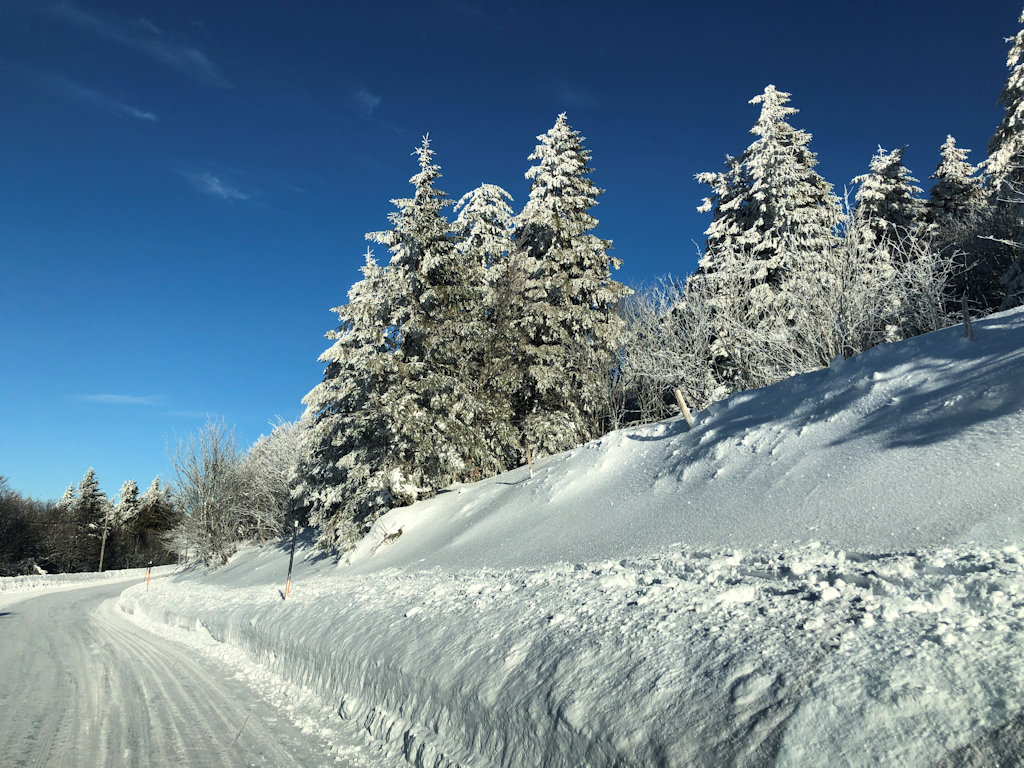 Chalet l'Orée du Bois - Chalet aux Rouges Eaux dans les Vosges (88)