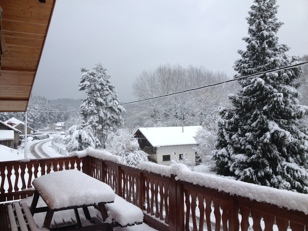 Chalet l'Orée du Bois - Chalet aux Rouges Eaux dans les Vosges (88)